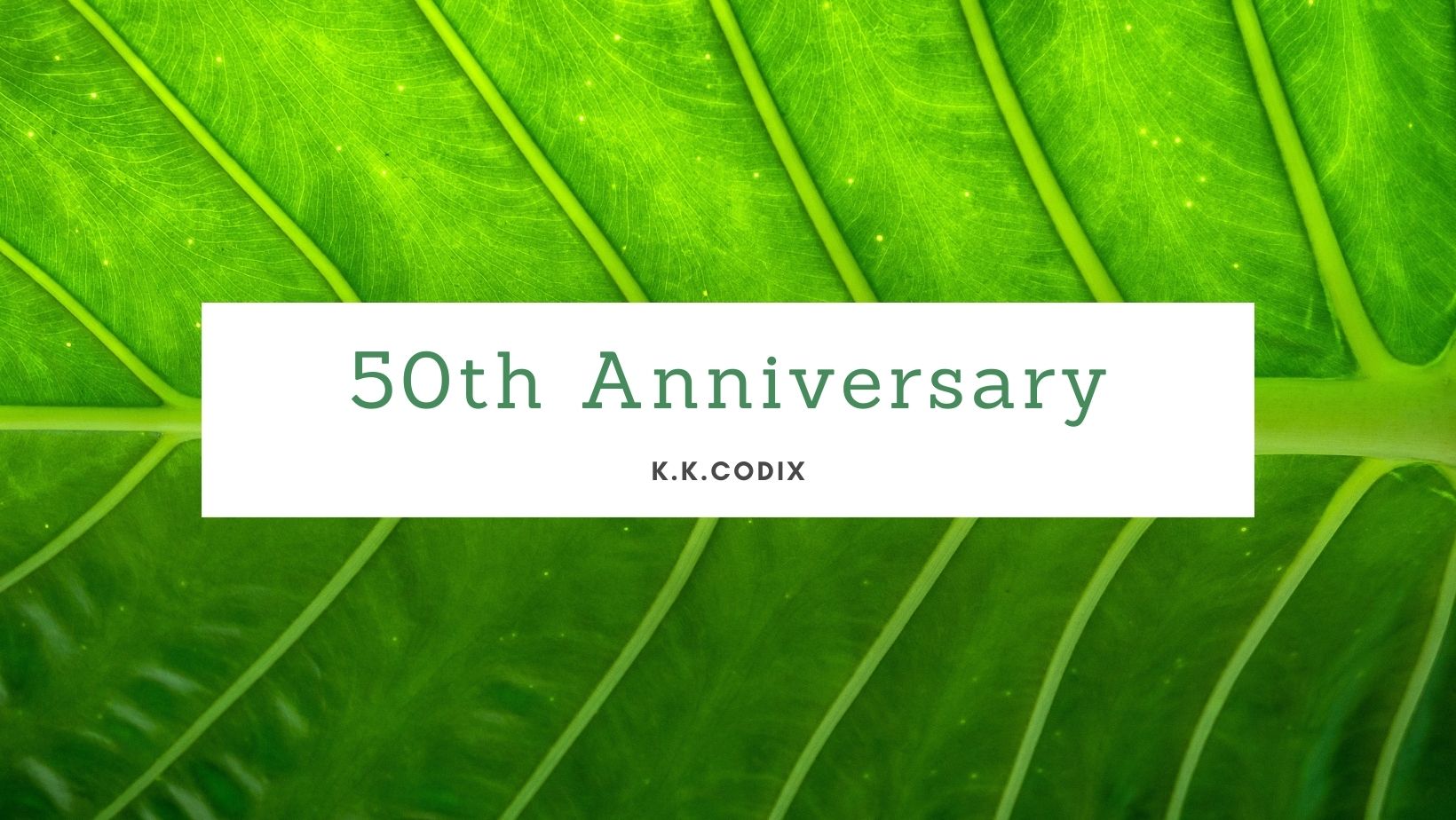 Gallery - CODIX Homepage